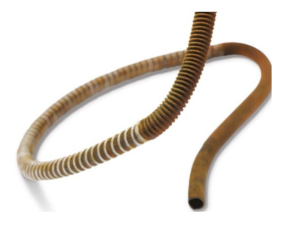 Scanlan | MAC's MEDICAL